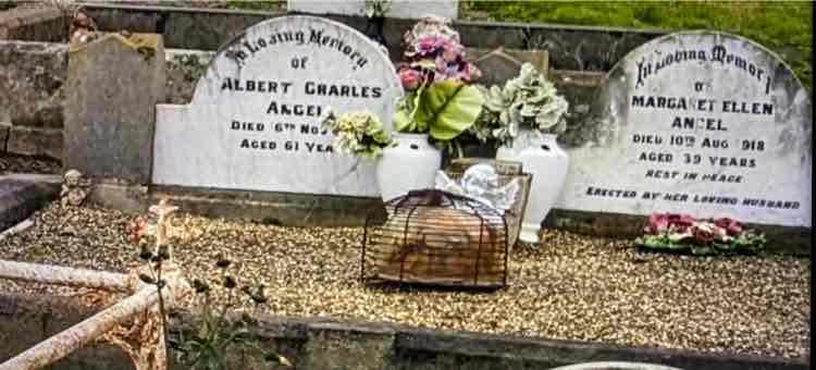 Albert Charles 'Cap' ANGEL (1878 - 1939)