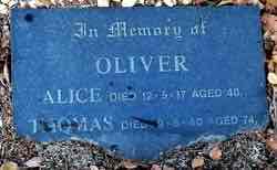 Thomas OLIVER (1865 - 1940)